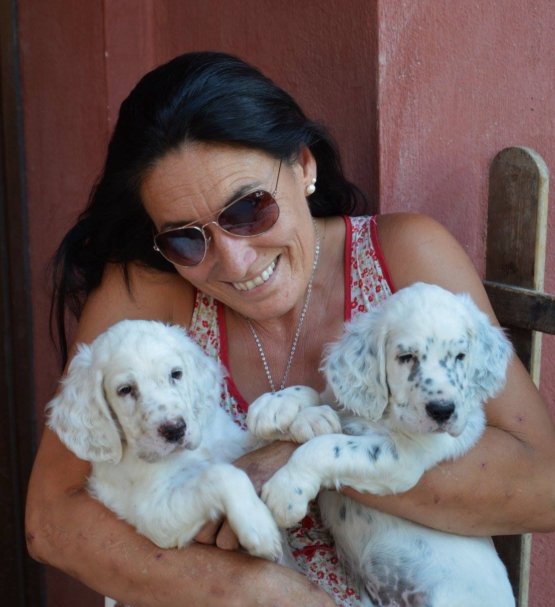 Cumbres de Jacaranda, uno de los mejores criaderos de setters de España ...